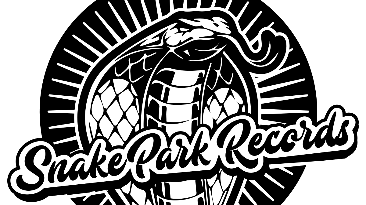 Wooden Vinyl Record Crates | LP & 45 Storage | Snake Park Records